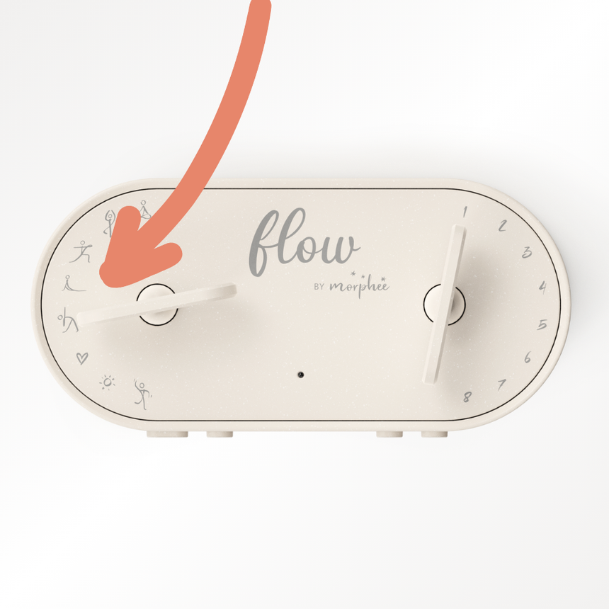 Flow I Morphée – Morphee