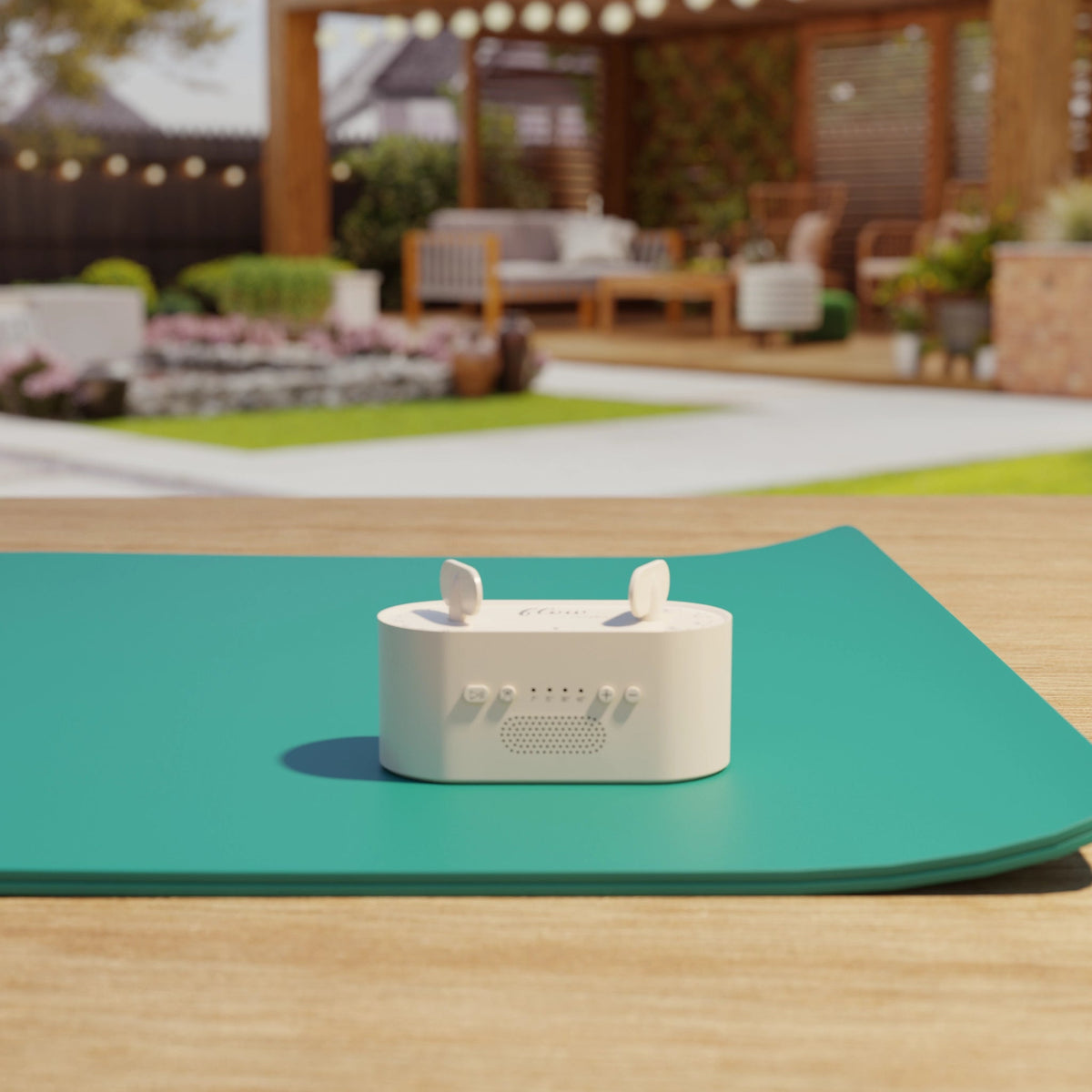 Flow I Morphée – Morphee