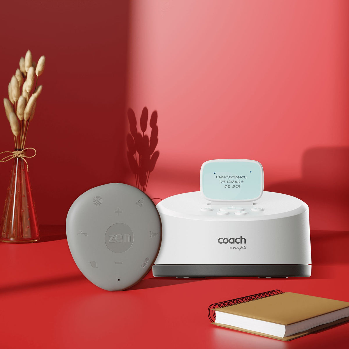 Nos Packs – Morphee