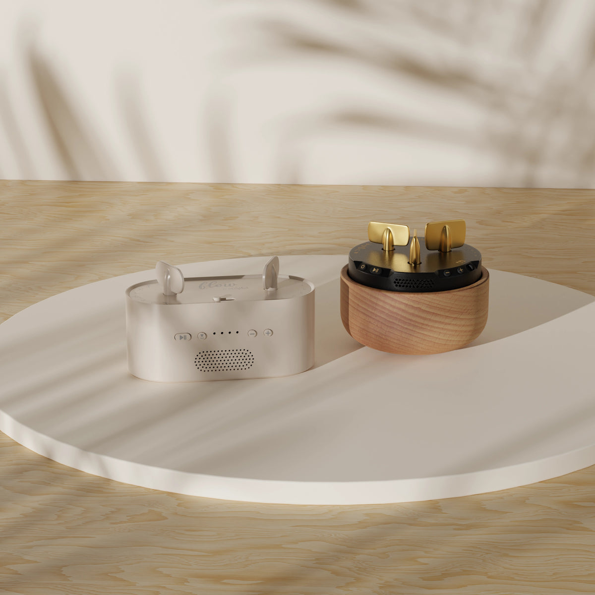 Packflow x Morpheus – Morphee