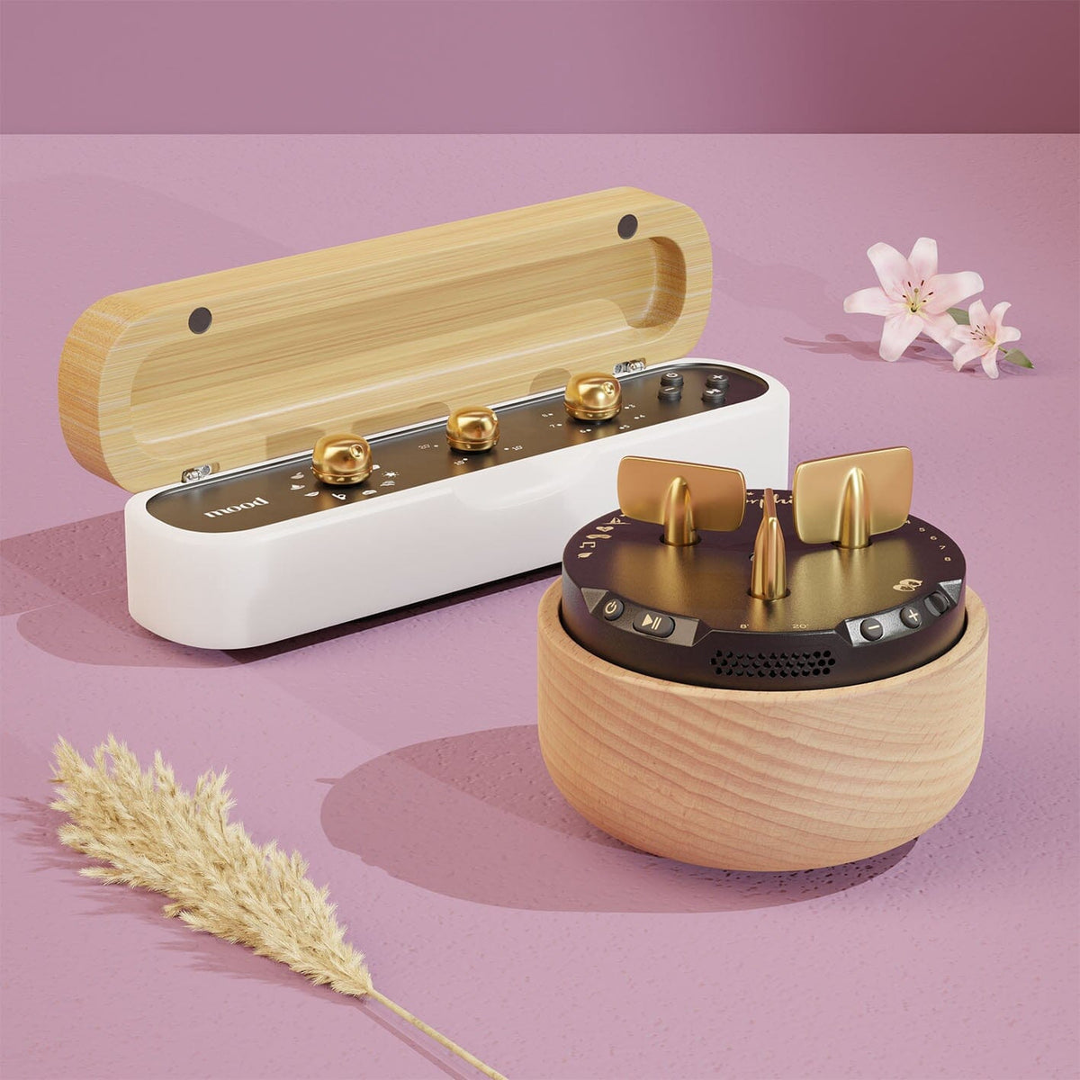 Nos Packs – Morphee